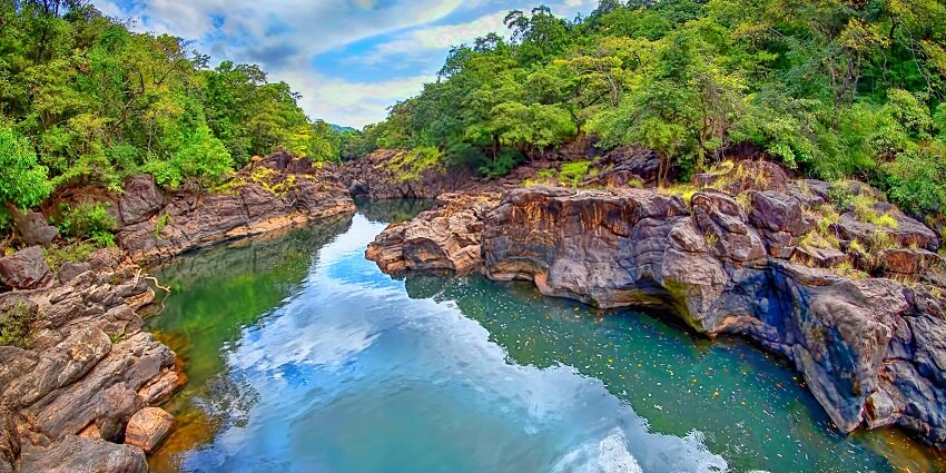 Mollem National Park: Explore The Exotic Fauna In Goa - TripXL