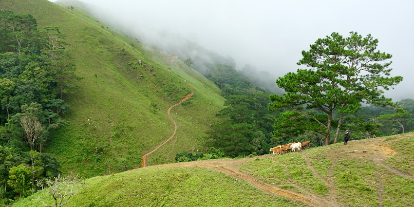 Experience Vagamon Trekking: Adventurer's Paradise In Kerala - TripXL