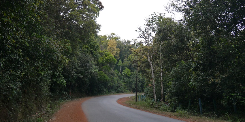 Places To Visit In Agumbe: A Guide To Nature’s Hidden Gems - TripXL