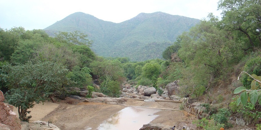 Things To Do In Yelagiri: A Complete Tourist Guide For Visitors - TripXL