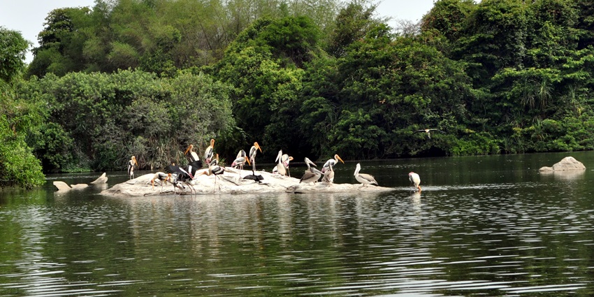 10 Best Places to Visit In Hospet: Explore And Enjoy - TripXL