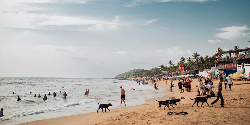 Explore Blue Whale Water Park Goa For Fun-Filled Day Outing - TripXL