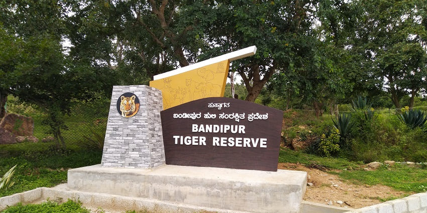 Places To Visit In Bandipur: Exploring Karnataka’s Serenity - TripXL