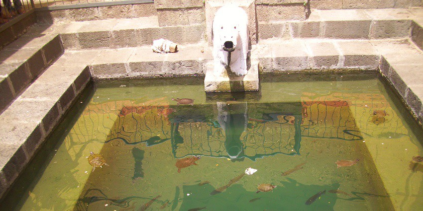 Bhor Adventure Park: A Perfect Day Out For Enjoyment - TripXL