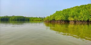 Places To Visit In Bhatkal For A Memorable Vacation - TripXL