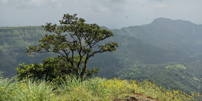 Matheran Trekking: Gear Up For An Adventurous Time - TripXL