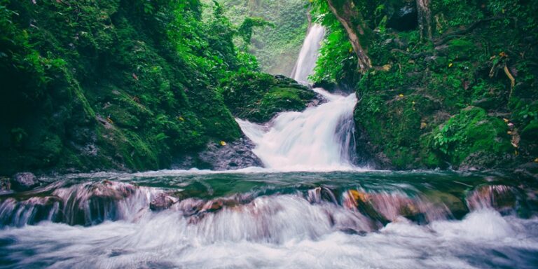 Zenith Waterfall: Witness The Majestic Falls Of Maharashtra - TripXL