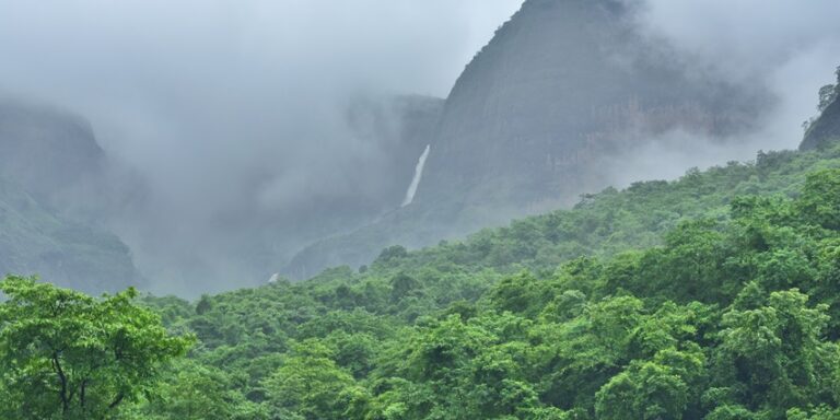 Exploring Kachargadh Caves: A Complete Tourist Guide - TripXL