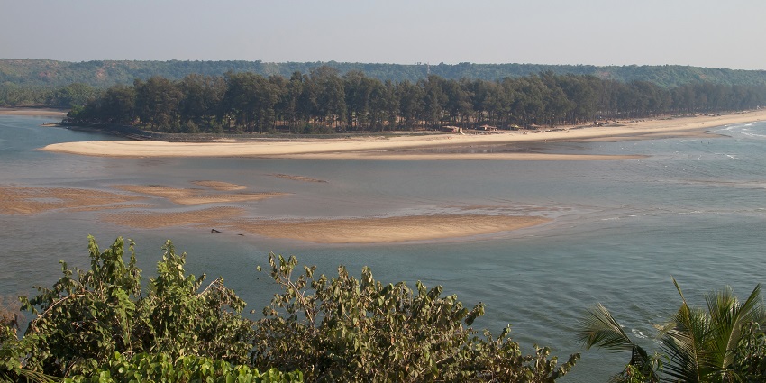 Mario Miranda Museum Goa: A Complete Guide For You To Dive - TripXL