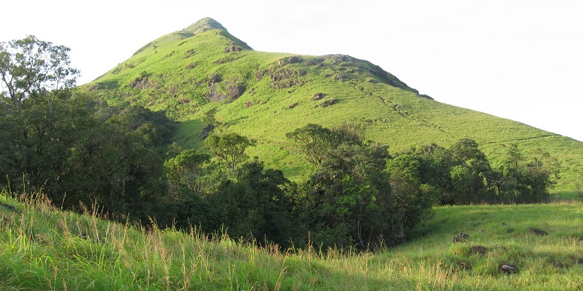 Adventurous Velliangiri Hills Trekking: Climb To The Heavens - TripXL