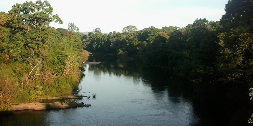 5 Places To Visit In Kalasa For An Unforgettable Trip - TripXL