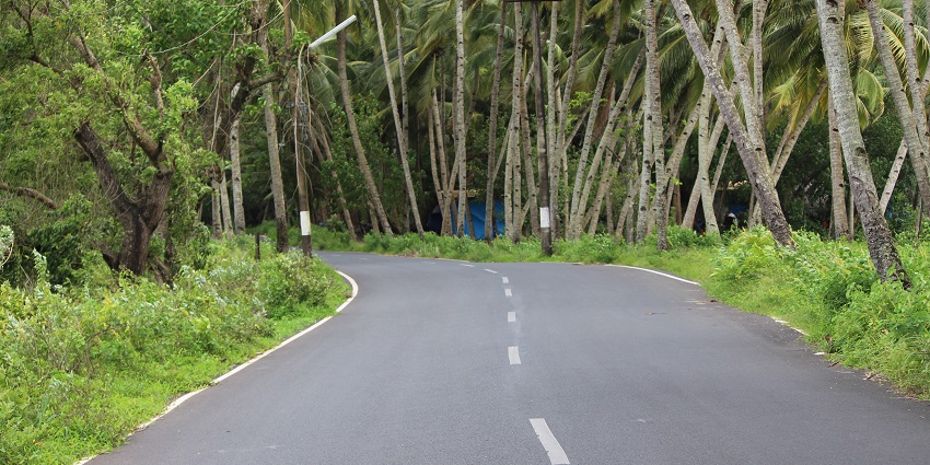 Explore Blue Whale Water Park Goa For Fun-Filled Day Outing - TripXL