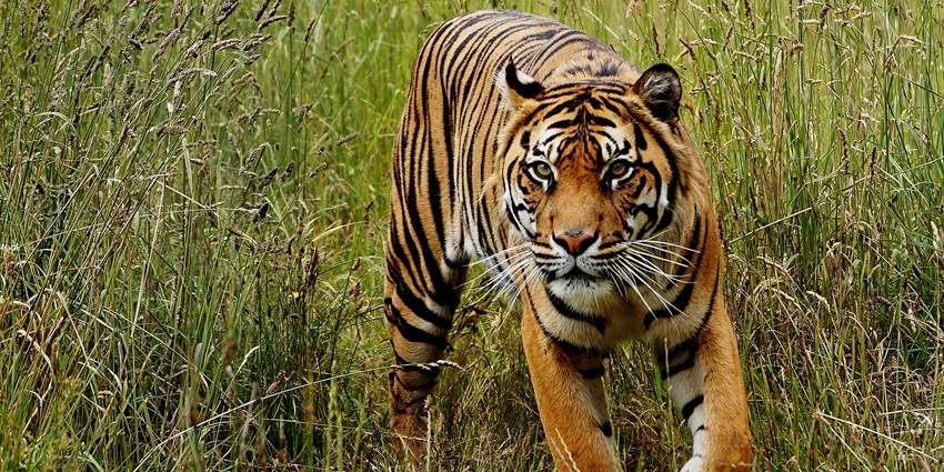 12 Amazing Places To Visit In Wardha For A Wonderful Visit - TripXL
