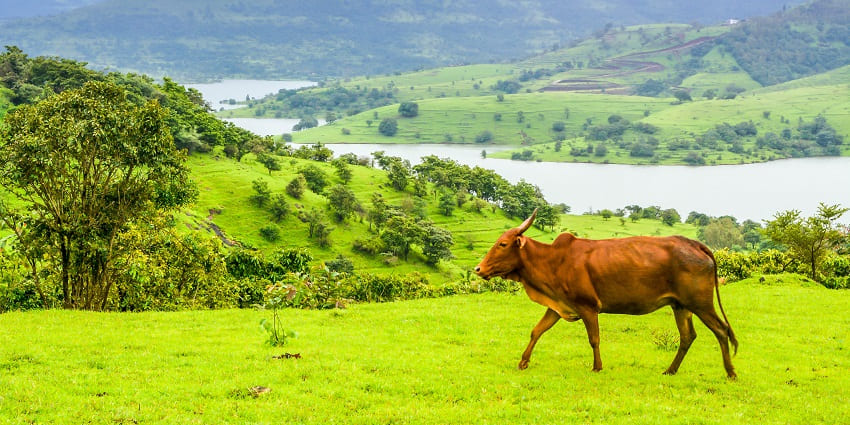 Top 14 Things To Do In Panshet: Your Complete Guide To Town - TripXL