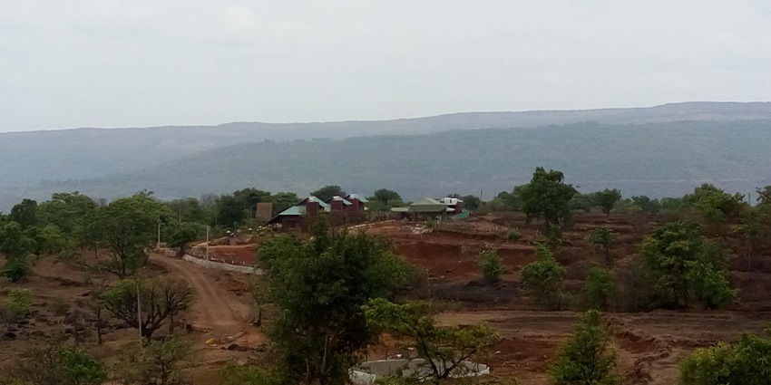 Chandoli National Park: Explore Exotic Fauna In Maharashtra - TripXL