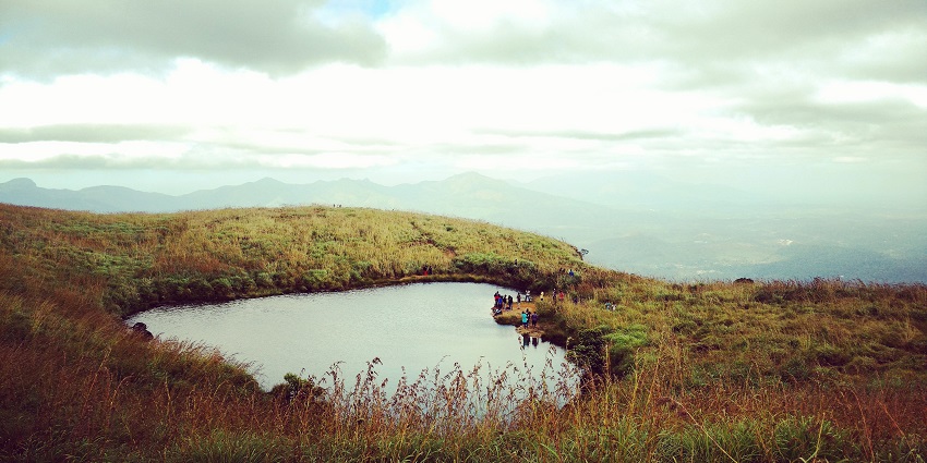 Chembra Peak Trekking: A Detailed Guide For First-Timers - TripXL