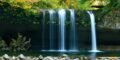 Places To Visit In Vasai For A Memorable Trip In Maharashta - TripXL