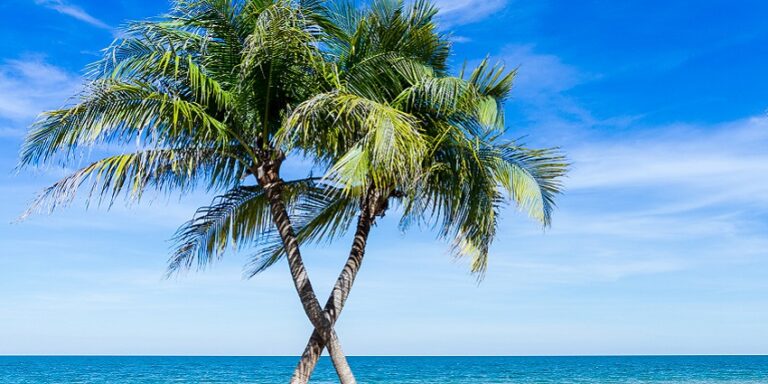 Beaches In Malvan: The Sun-Kissed Shores Are Awaiting You - TripXL