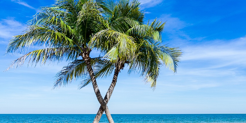 Beaches In Malvan: The Sun-Kissed Shores Are Awaiting You - TripXL