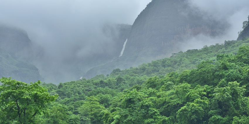 The Top 10 Waterfalls In Tamhini Ghat: Tranquility Amidst Lush Greenery ...