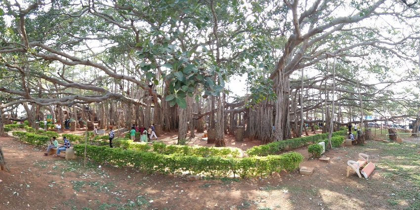 10 Places To Visit In Channapatna: From Toy Markets To Temples - TripXL