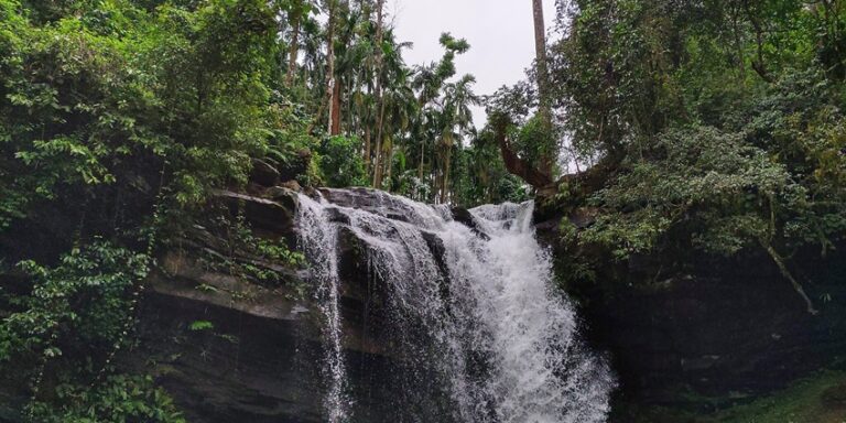 5 Places To Visit In Kalasa For An Unforgettable Trip - TripXL