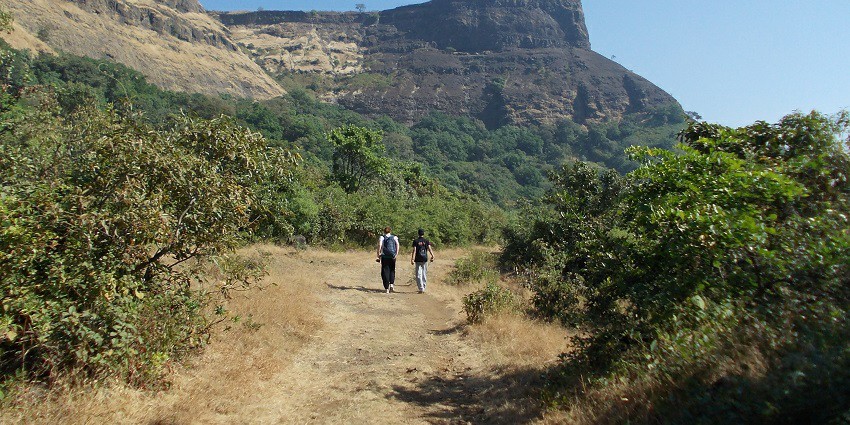 Rasalgad Fort: A Complete Guide To Witness Historical Beauty - TripXL