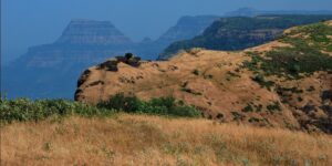 Top 13 Things To Do In Bhimashankar For A Fun Pune Trip - TripXL