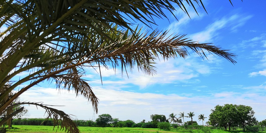 14 Things To Do In Thoothukudi For An Unforgettable Vacation - TripXL