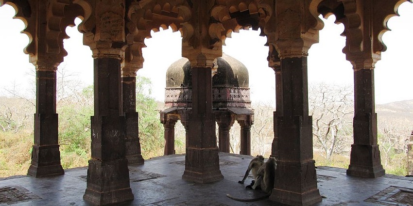 Khandar Fort: Unveil History And Heritage Of Rajasthan - TripXL