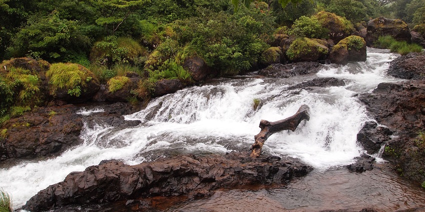 Top Things To Do In Satara: Nature, Culture, And Adventure - TripXL