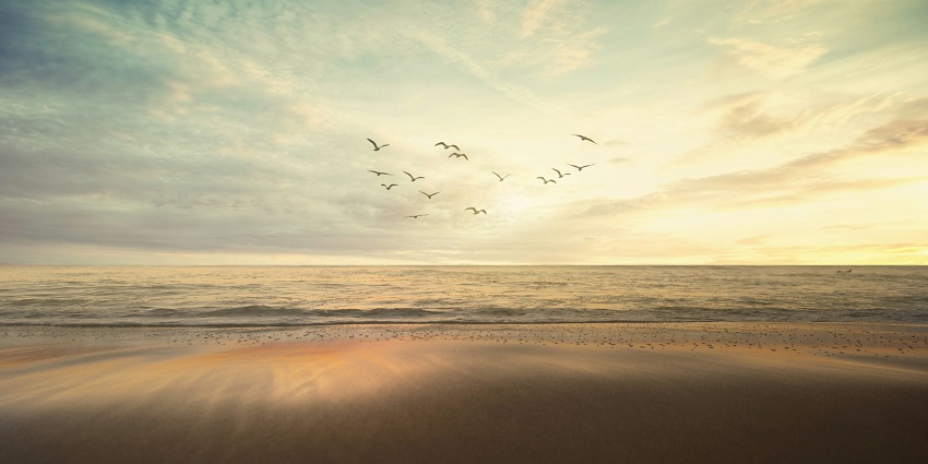 Best Places To Visit In Devgad: Beaches And Mango Orchards - TripXL