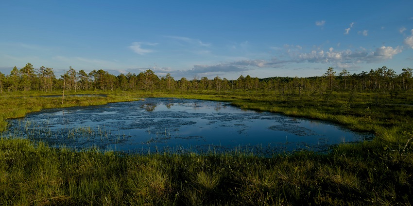 Mandangad Fort: A Guide To Exploring This Historical Gem - TripXL