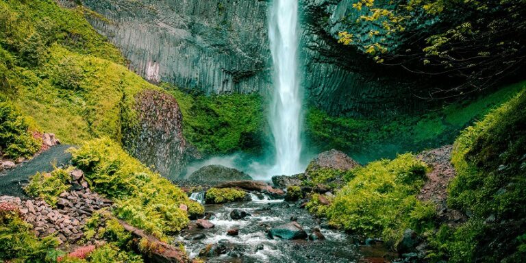 Top Places To Visit In Gudalur: Must-See Attractions - TripXL