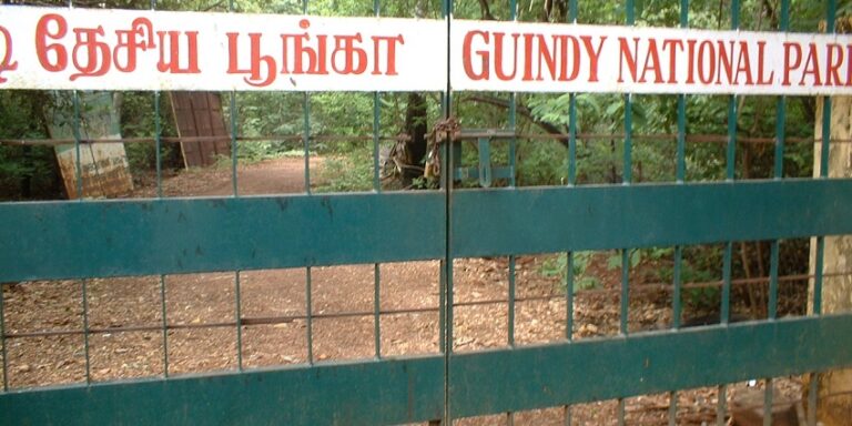 Places To Visit In Velachery: Tamil Nadu’s Serene Cities - TripXL