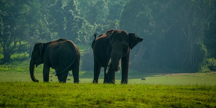 10 Best Places to Visit In Hospet: Explore And Enjoy - TripXL