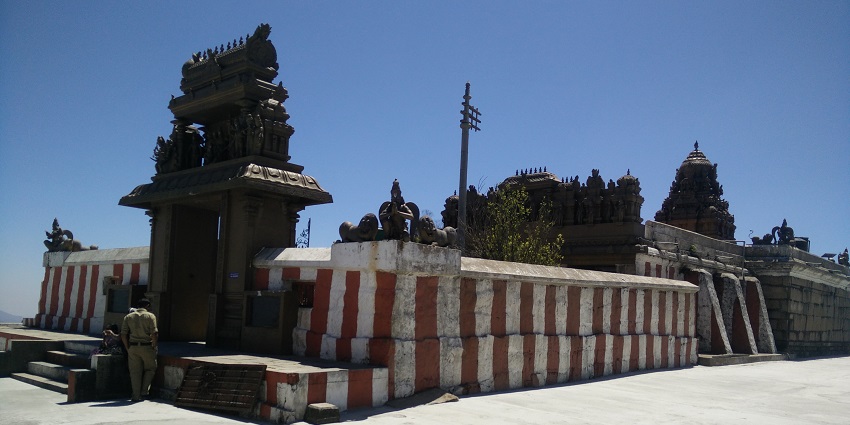 Places To Visit In Bandipur: Exploring Karnataka’s Serenity - TripXL