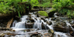 Suruli Waterfalls: Guide To Nature’s Serenity In Tamil Nadu - TripXL