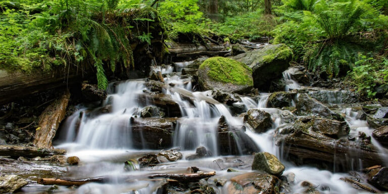 Suruli Waterfalls: Guide To Nature’s Serenity In Tamil Nadu - TripXL