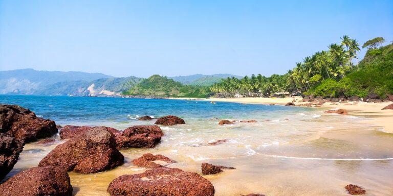 Butterfly Beach In Goa: A Must Visit Hidden Beach - TripXL