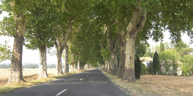 Navra Navri Fort: Uncover The Historical Gem In Maharashtra - TripXL