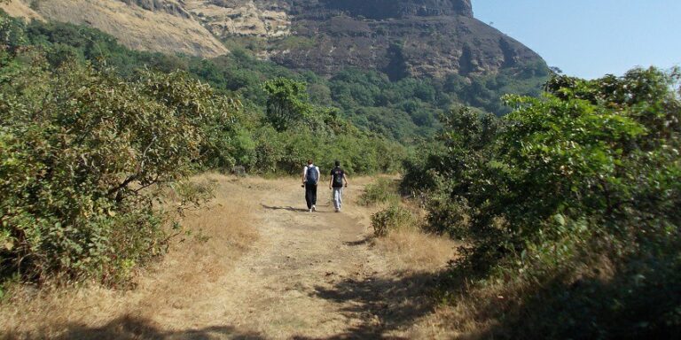Visapur Fort Trekking: An Adventure For Every Thrill Seeker - TripXL