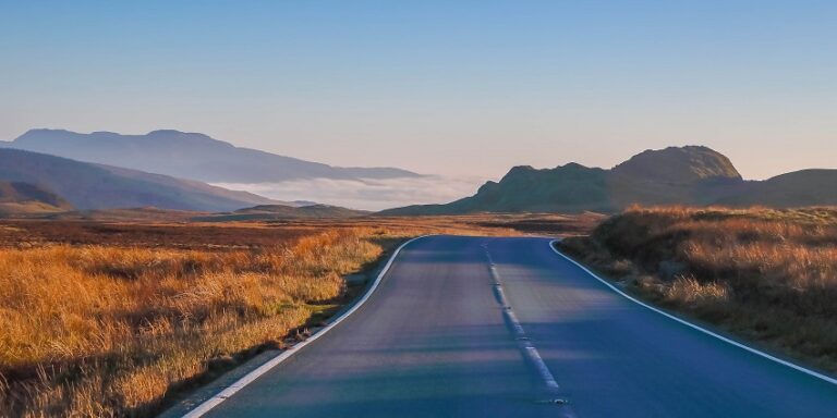 Yawal Wildlife Sanctuary: Maharashtra’s Top Attraction - TripXL