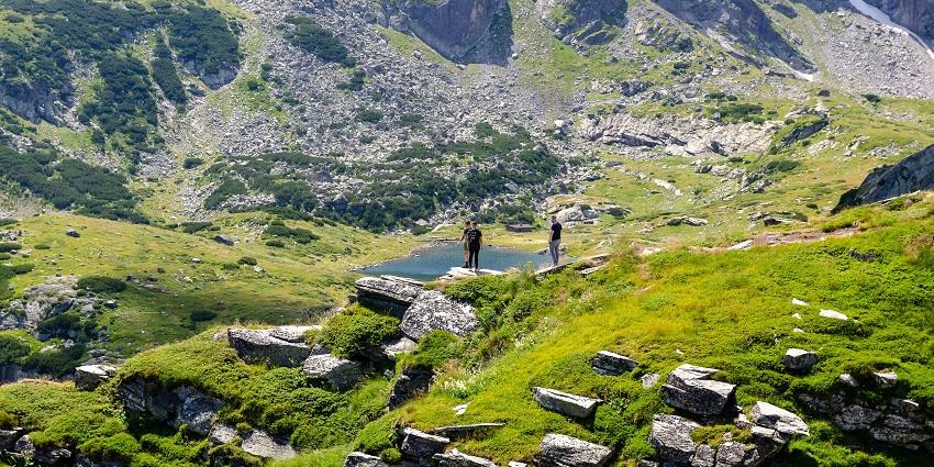 Yelagiri Trekking: Top Trails To Unleash Your Inner Explorer - TripXL