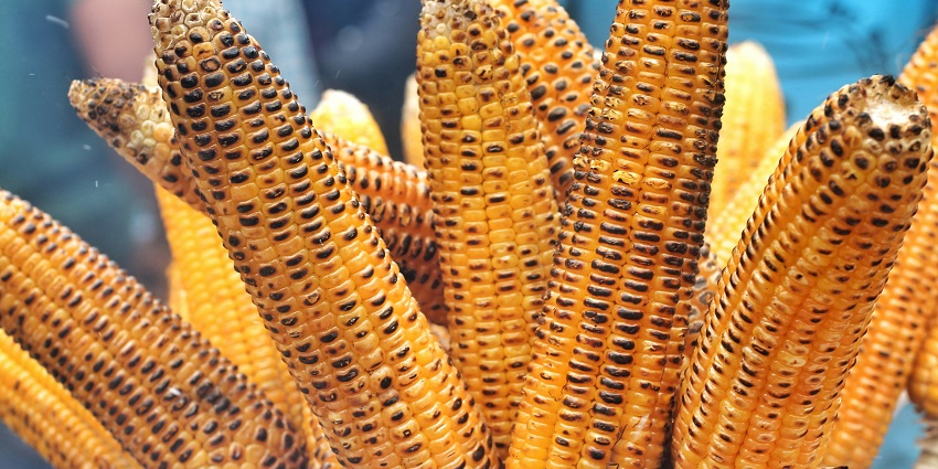 14 Things To Do In Juhu For An Unforgettable Day In Mumbai - TripXL