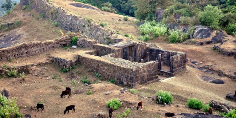 10 Places to Visit Near Bhadravati for Scenic Adventures - TripXL