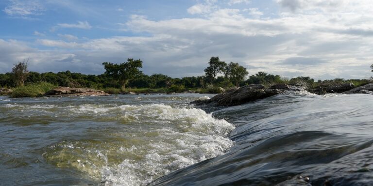 Places To Visit In Dharmapuri: A Complete Guide For Visitors - TripXL