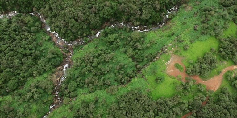 20 Best Places To Visit Near Dombivli For A Scenic Getaway - TripXL