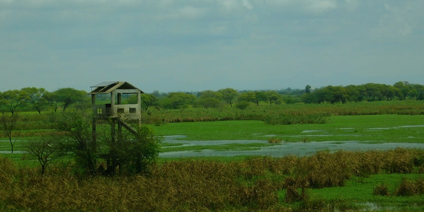 15 Cultural Places To Visit In Kharghar For All Travellers - TripXL