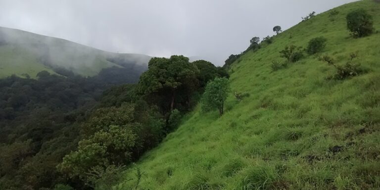 14 Best Places to Visit In Thirthahalli: Explore And Enjoy - TripXL